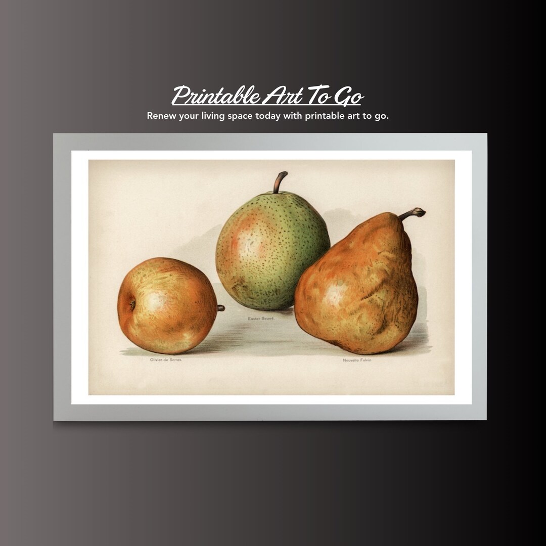Printable 1924 Pears Poster Fruit Growers Guide 1924 Botanical Digital ...