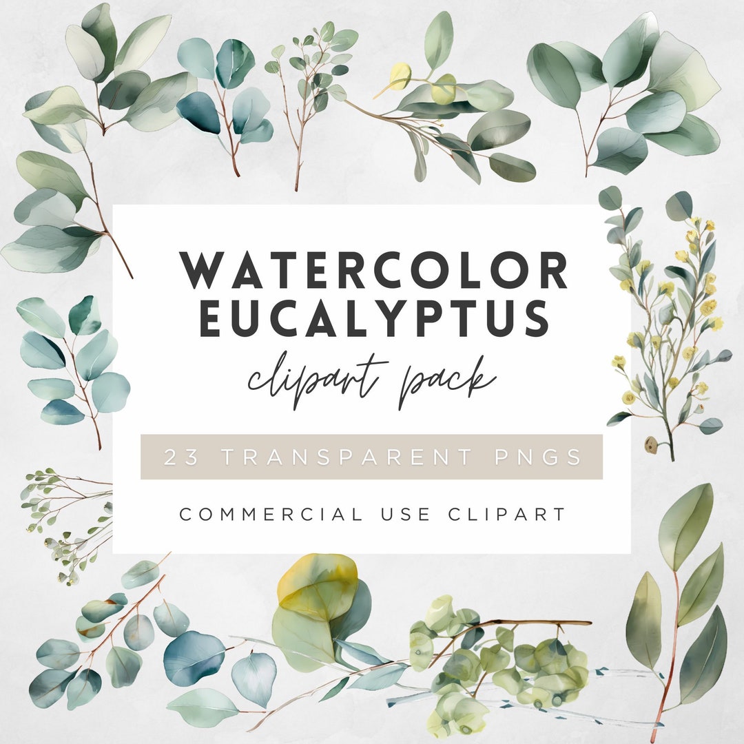 Eucalyptus Clip Art Eucalyptus Cliparts Watercolor Font Clip Art ...