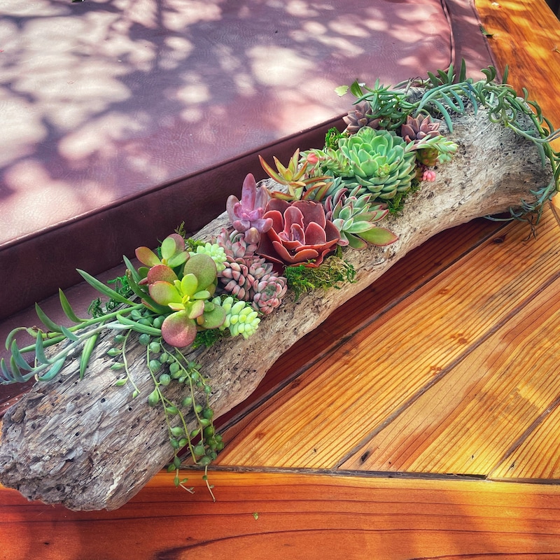 Succulent Log Planter - Etsy