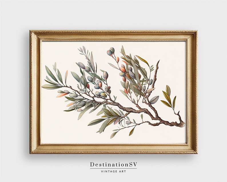 Vintage Olive Tree Botanical Art Print, Farmhouse Kitchen Decor ...