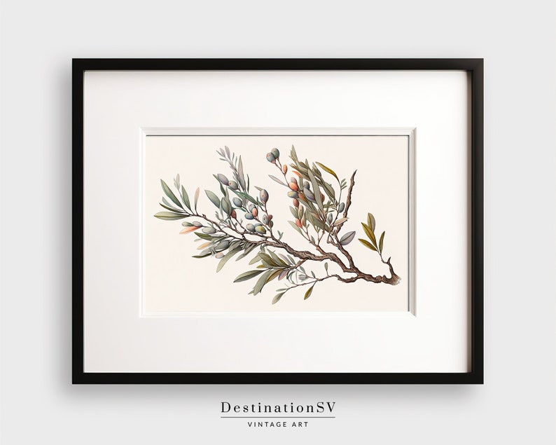 Vintage Olive Tree Sketch Botanical Print Digital Printable - Etsy