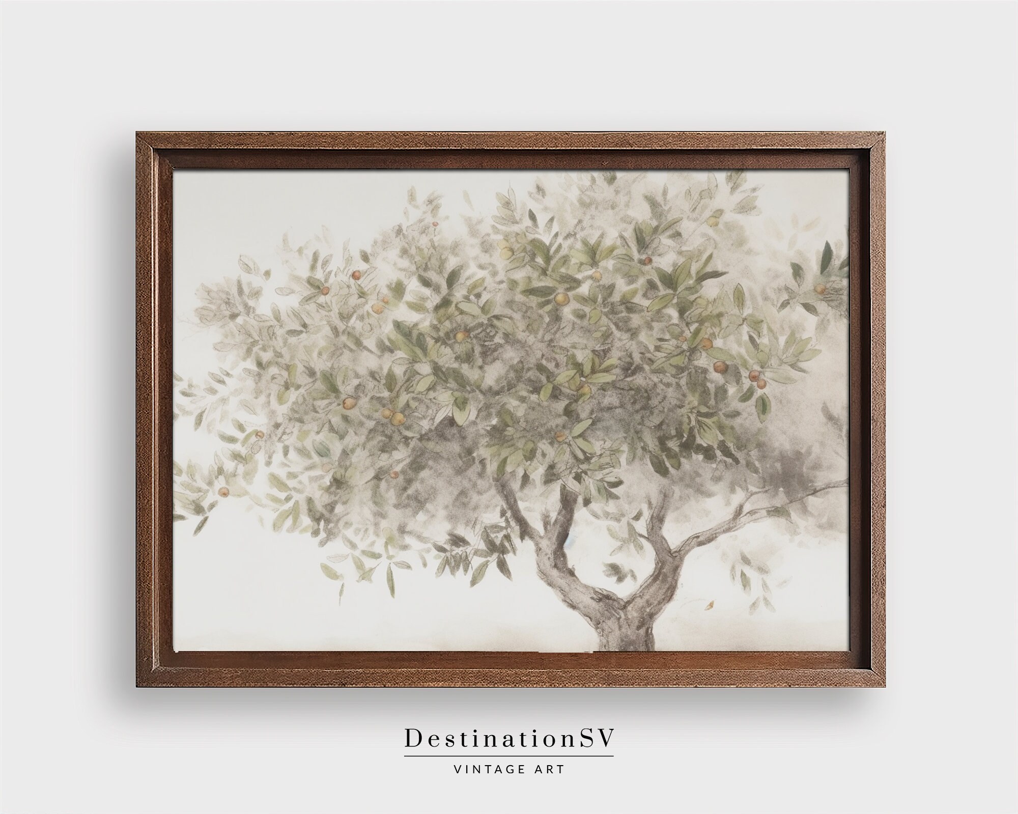 Vintage Olive Tree Sketch Botanical Print Digital Printable - Etsy ...