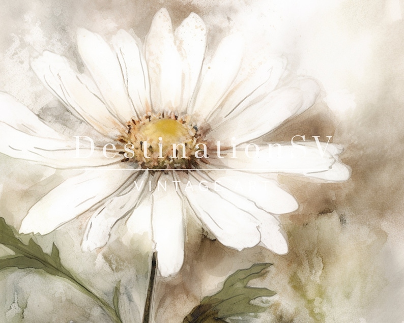 Vintage Daisy Painting, Botanical Print, Digital Printable, Vintage ...
