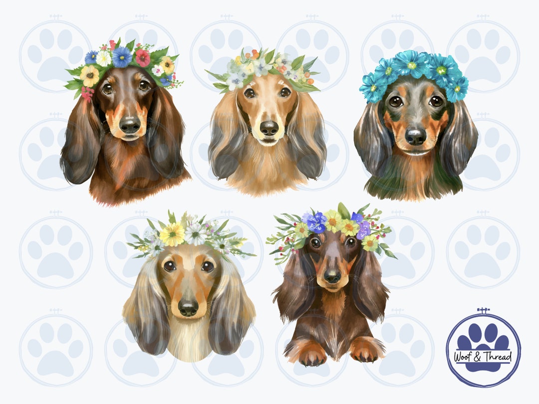 5 PNG Long Haired Dachshund Watercolor Clipart Dog With Flower Crown ...