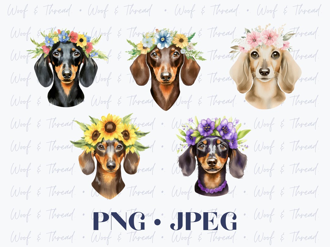 5 PNG Short Haired Dachshund Watercolor Clipart Dog With Flower Crown ...
