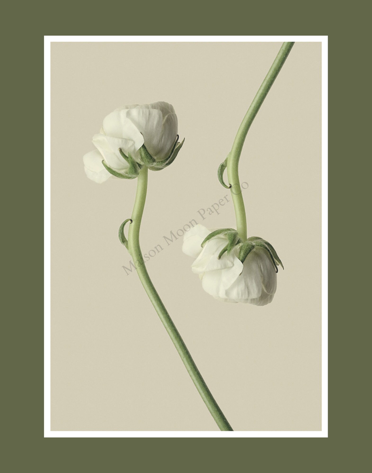 Green Mat White Flower Floral Wall Art 8x10 11x14 16x20 Digital ...