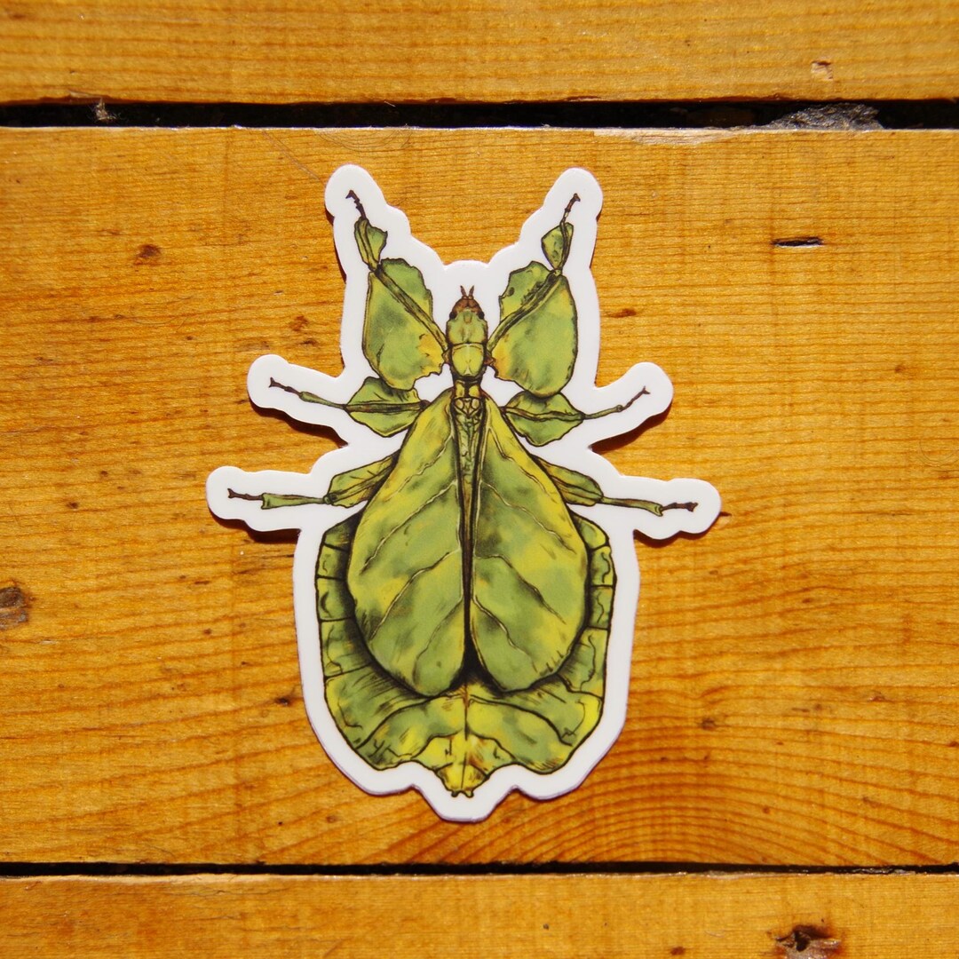 EXOSKELETONS Leafbug Sticker - Etsy