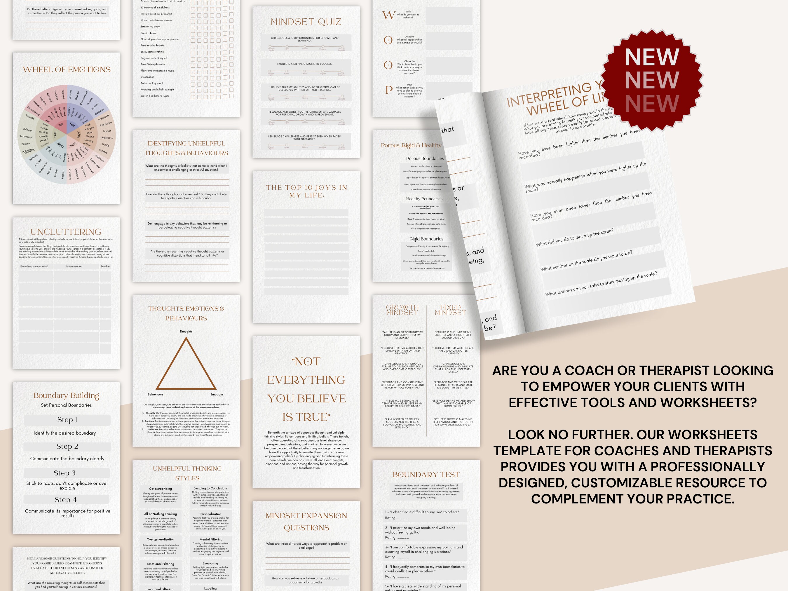Coaching Toolkit Therapy Worksheets Coaching Session Coaching Tools ...