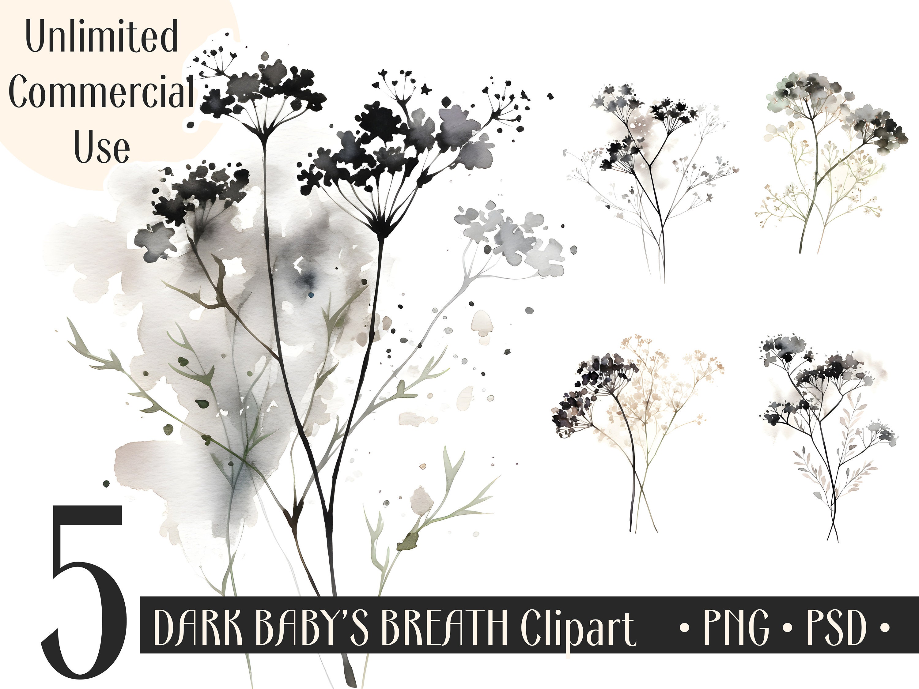 Babys Breath Bouquet Clipart Free