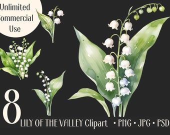 Watercolor Lily of the Valley Clipart Floral Clipart - Etsy