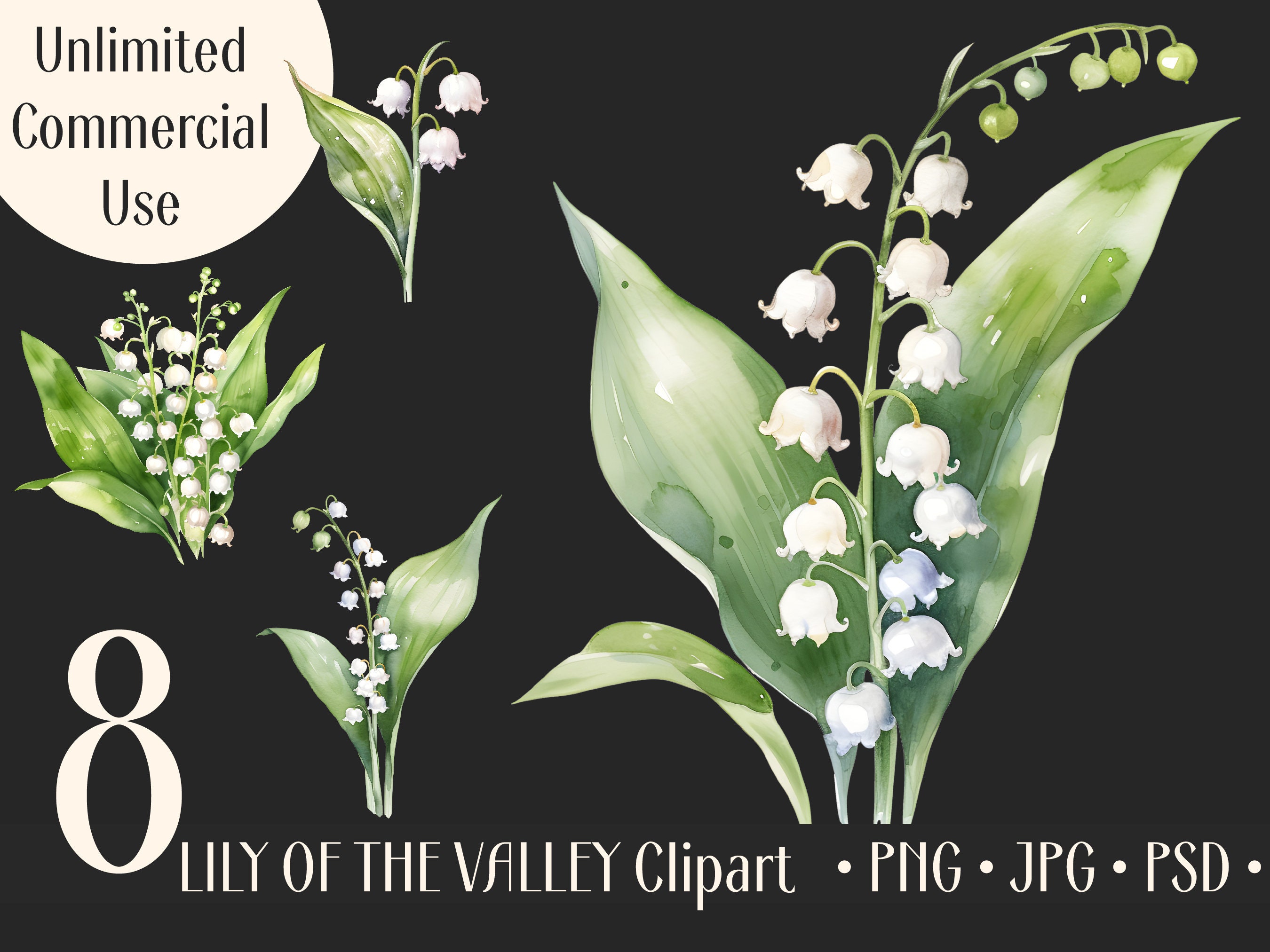 Watercolor Lily of the Valley Clipart PNG, Commercial Use Clip Art ...