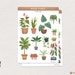 House Plants Stickers, Nature Stickers , Small Plant Stickers ...