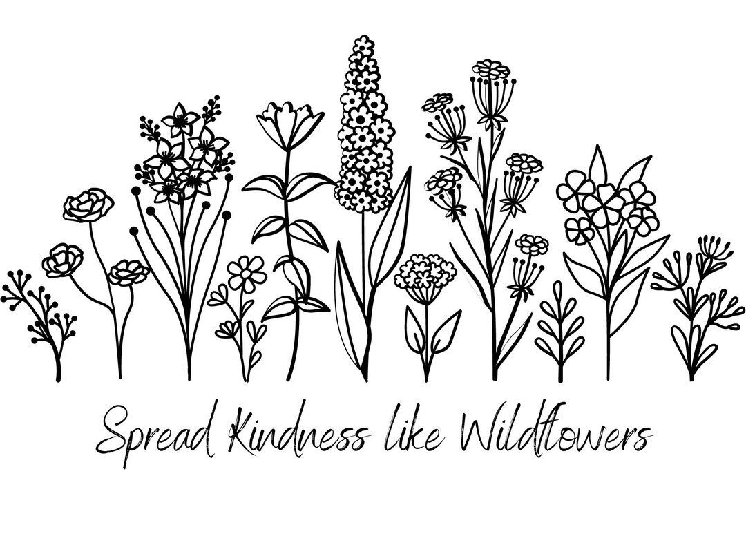 Spread Kindness Like Wildflowers Png, Daisy Flowers Png, Summer Flowers ...