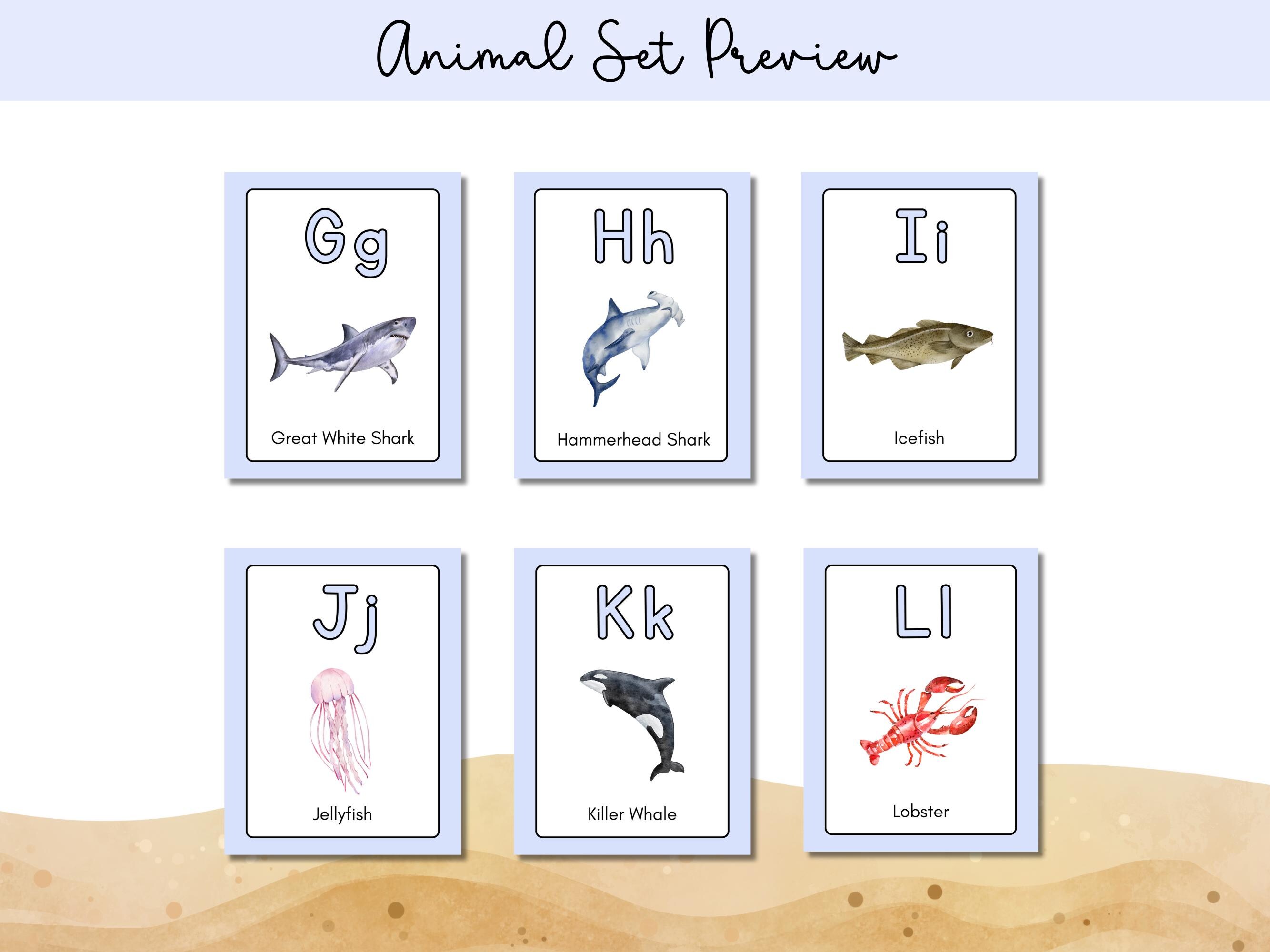 Sea Animal Alphabet Posters for Homeschool Decor Alphabet Ocean Animal ...