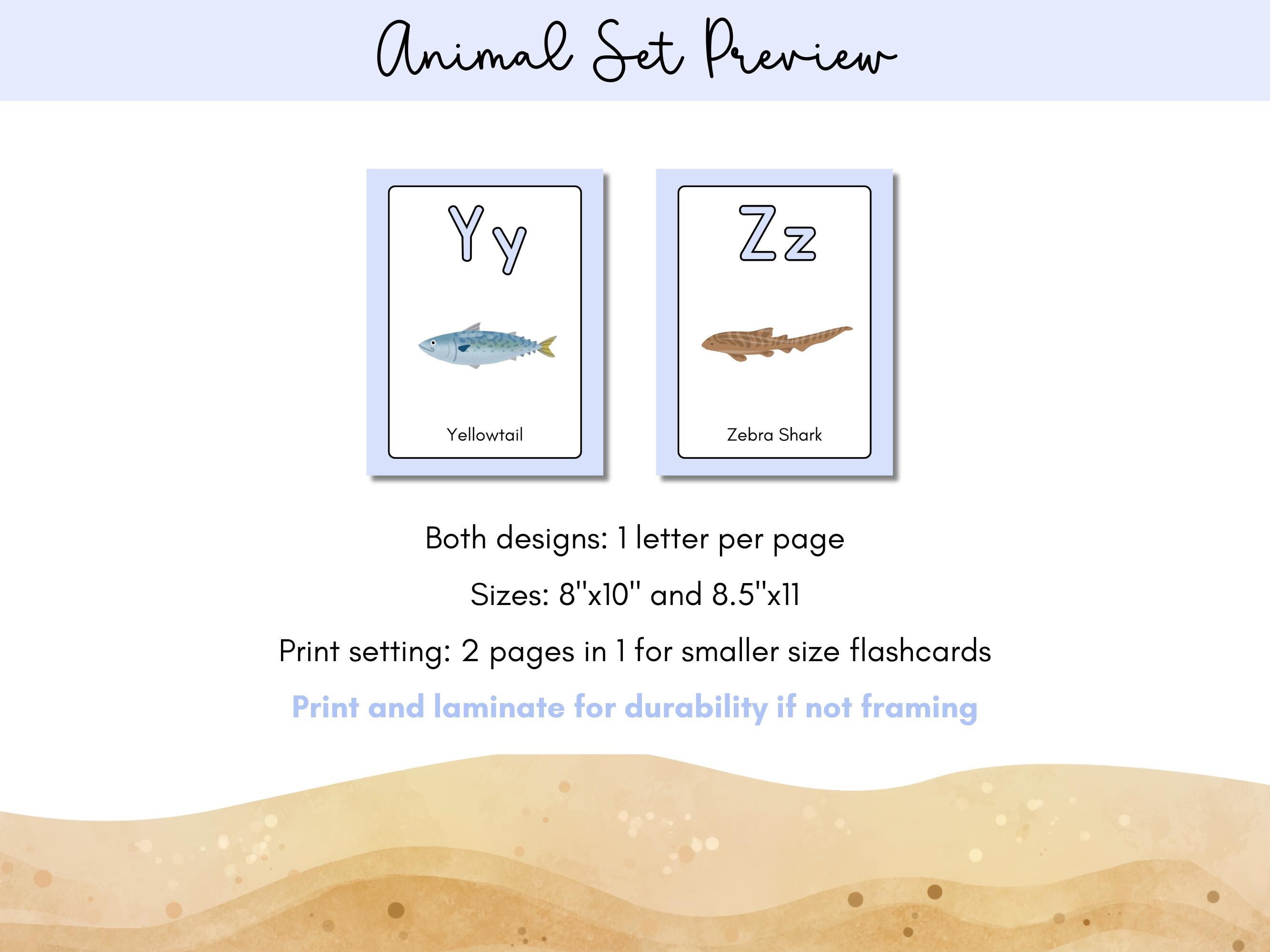 Sea Animal Alphabet Posters for Homeschool Decor Alphabet Ocean Animal ...