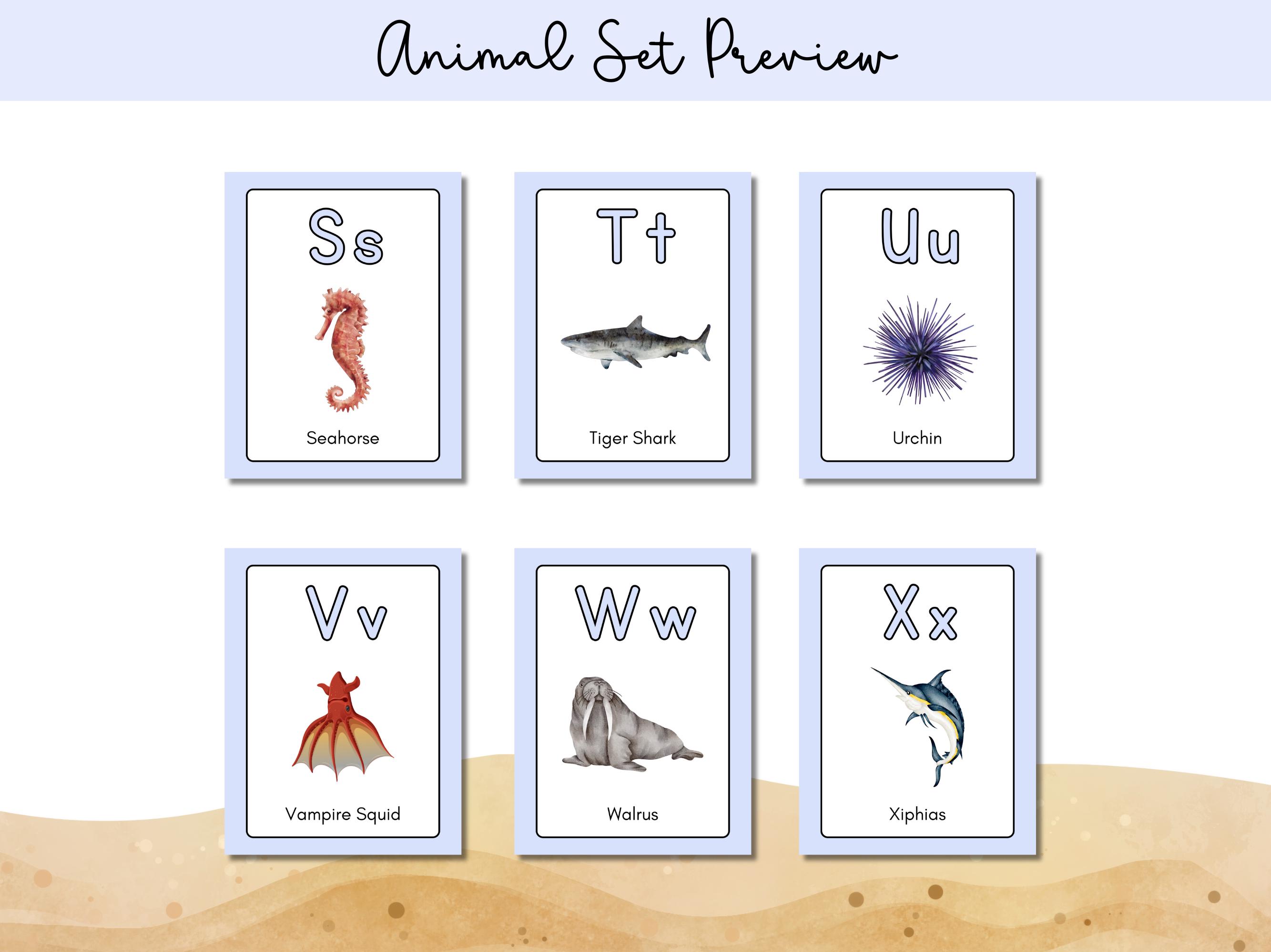 Sea Animal Alphabet Posters for Homeschool Decor Alphabet Ocean Animal ...