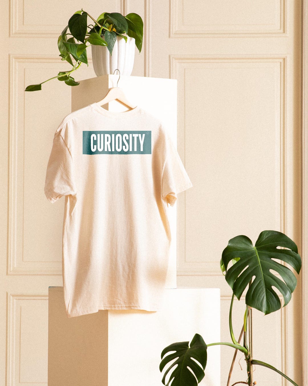 Curiosity – Minimalist Fungi Typography T-shirt, Mycology-inspired Tee ...