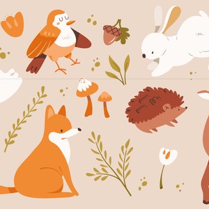 Woodland Clipart Forest Animals Vector Cute Woodland Set Illustrations ...