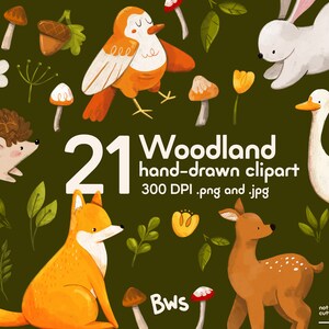 Woodland Clipart Forest Animals Cute Hand-drawn Woodland Set ...