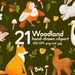 Woodland Clipart Forest Animals Cute Hand-drawn Woodland Set ...