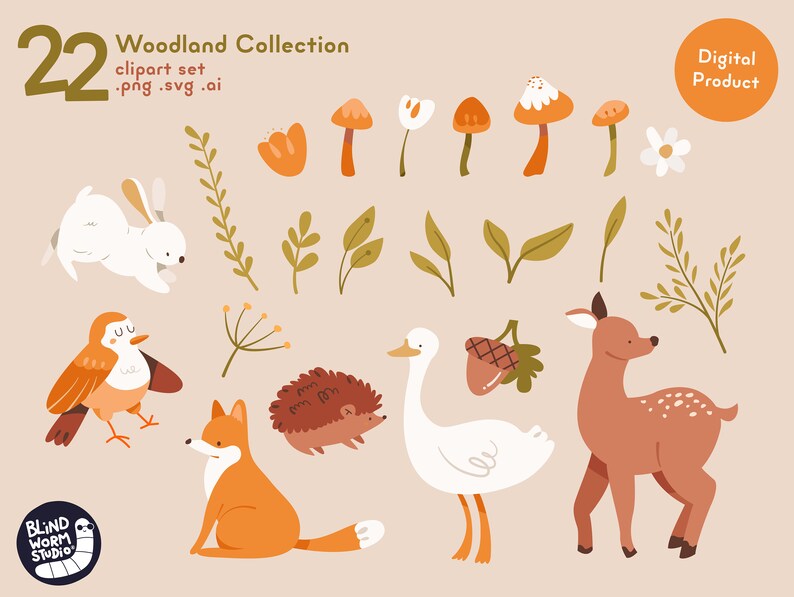Woodland Clipart Forest Animals Vector Cute Woodland Set Illustrations ...