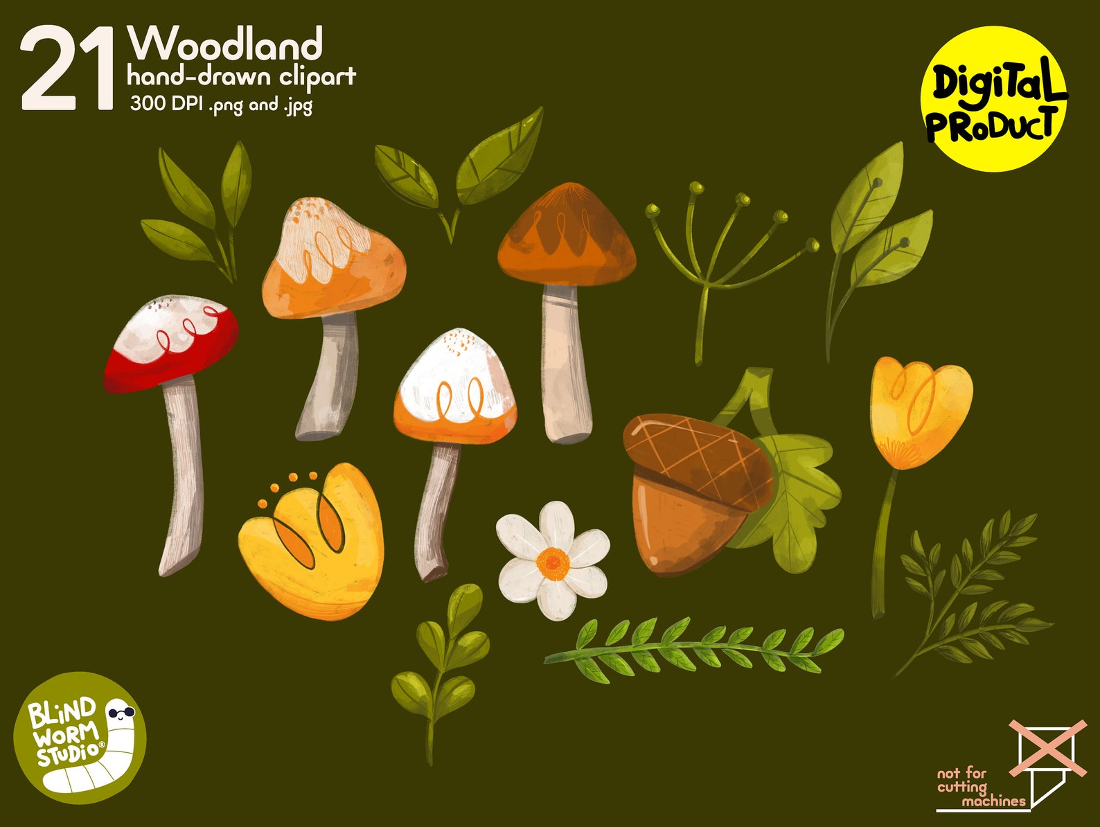 Woodland Clipart Forest Animals Cute Hand-drawn Woodland Set ...
