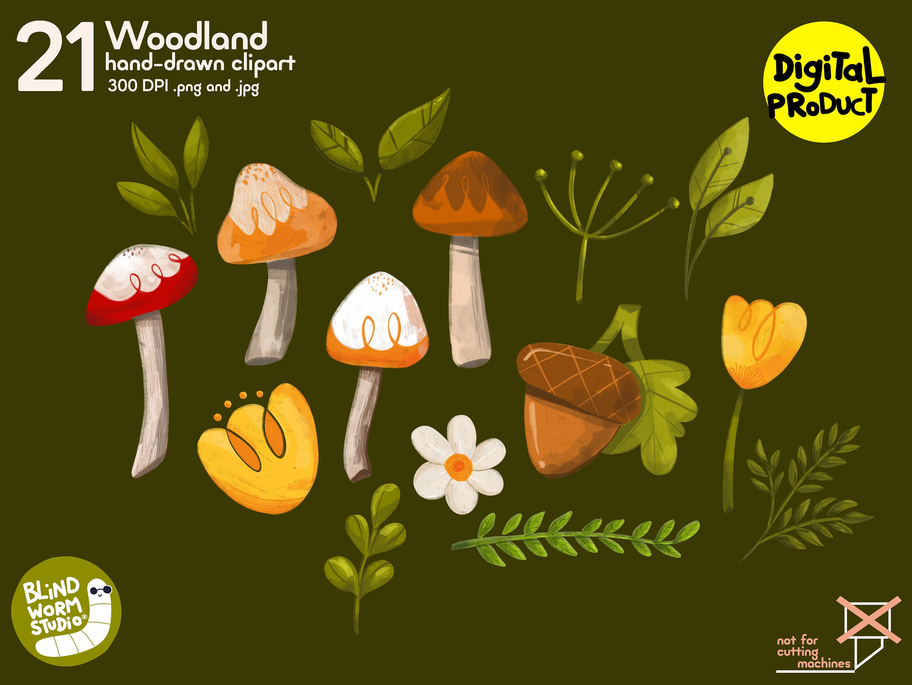 Woodland Clipart Forest Animals Cute Hand-drawn Woodland Set ...
