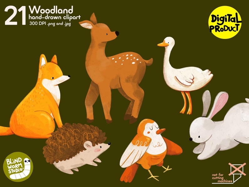 Woodland Clipart Forest Animals Cute Hand-drawn Woodland Set ...