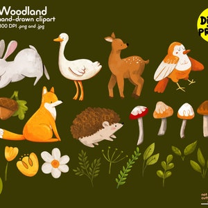 Woodland Clipart Forest Animals Cute Hand-drawn Woodland Set ...