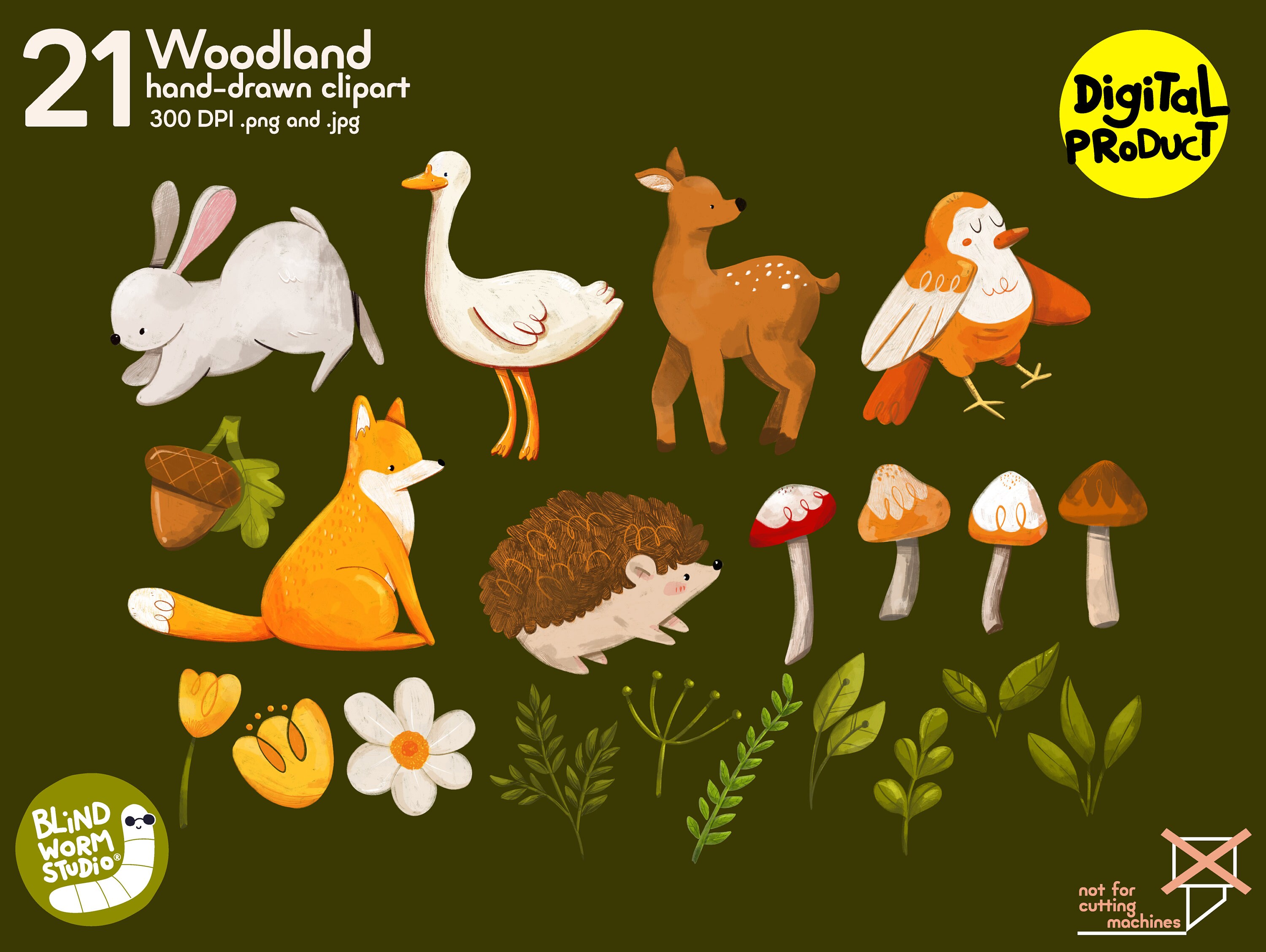 Woodland Clipart Forest Animals Cute Hand-drawn Woodland Set ...