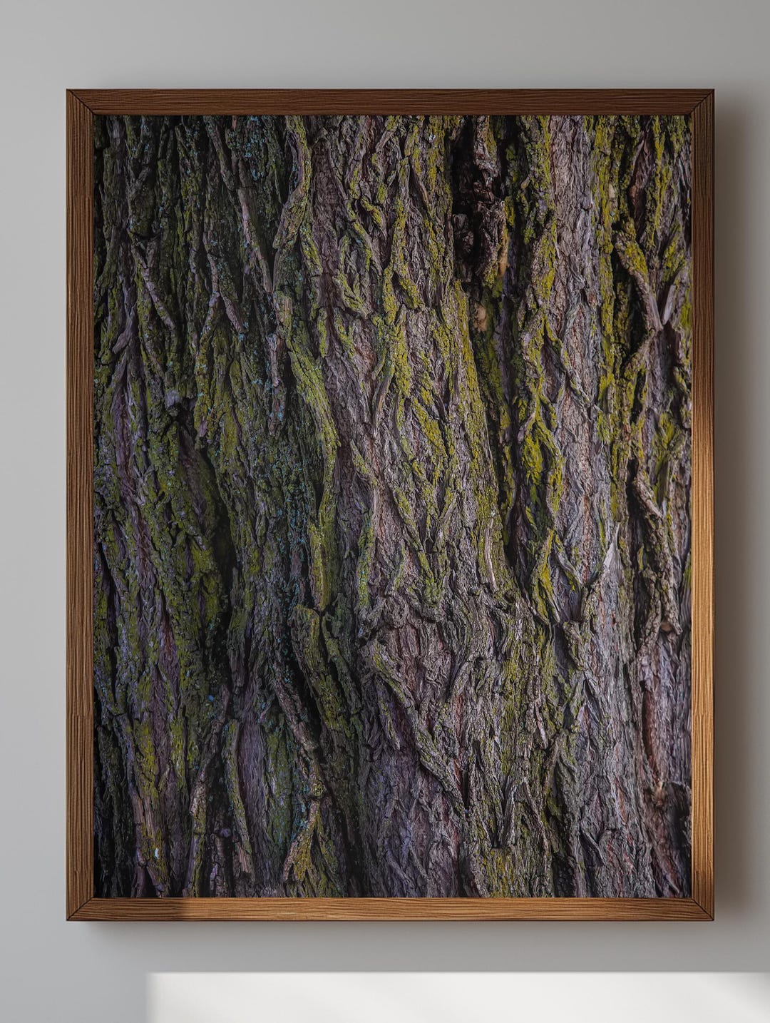 Tree Bark Texture Photography Print, Rustic Minimalist Wall Art - Etsy