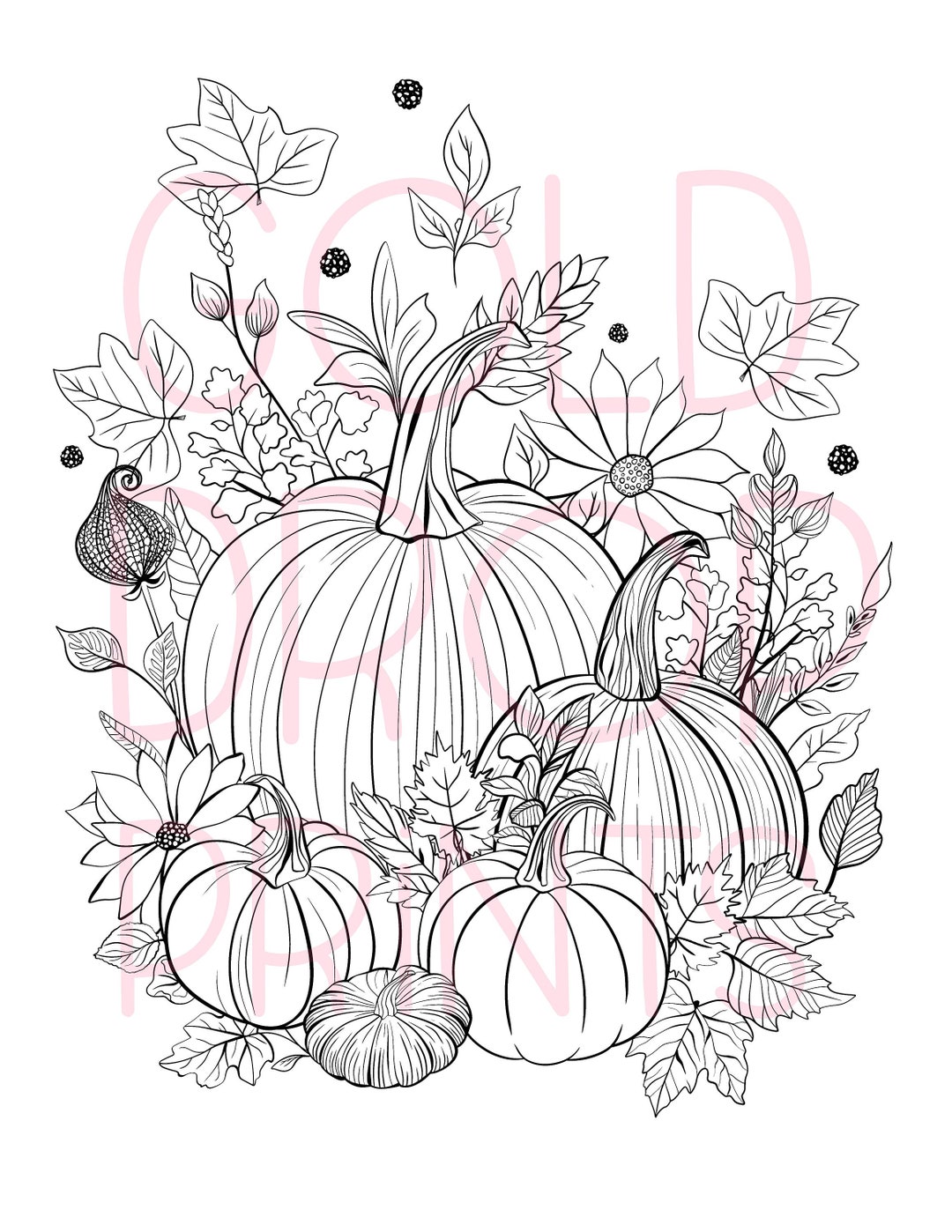 Fall Pumpkins Coloring Page / PNG / Printable / Fall PNG / Pumpkins ...
