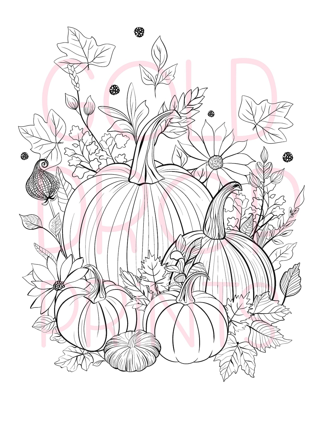 Fall Pumpkins Coloring Page / PNG / Printable / Fall PNG / Pumpkins ...