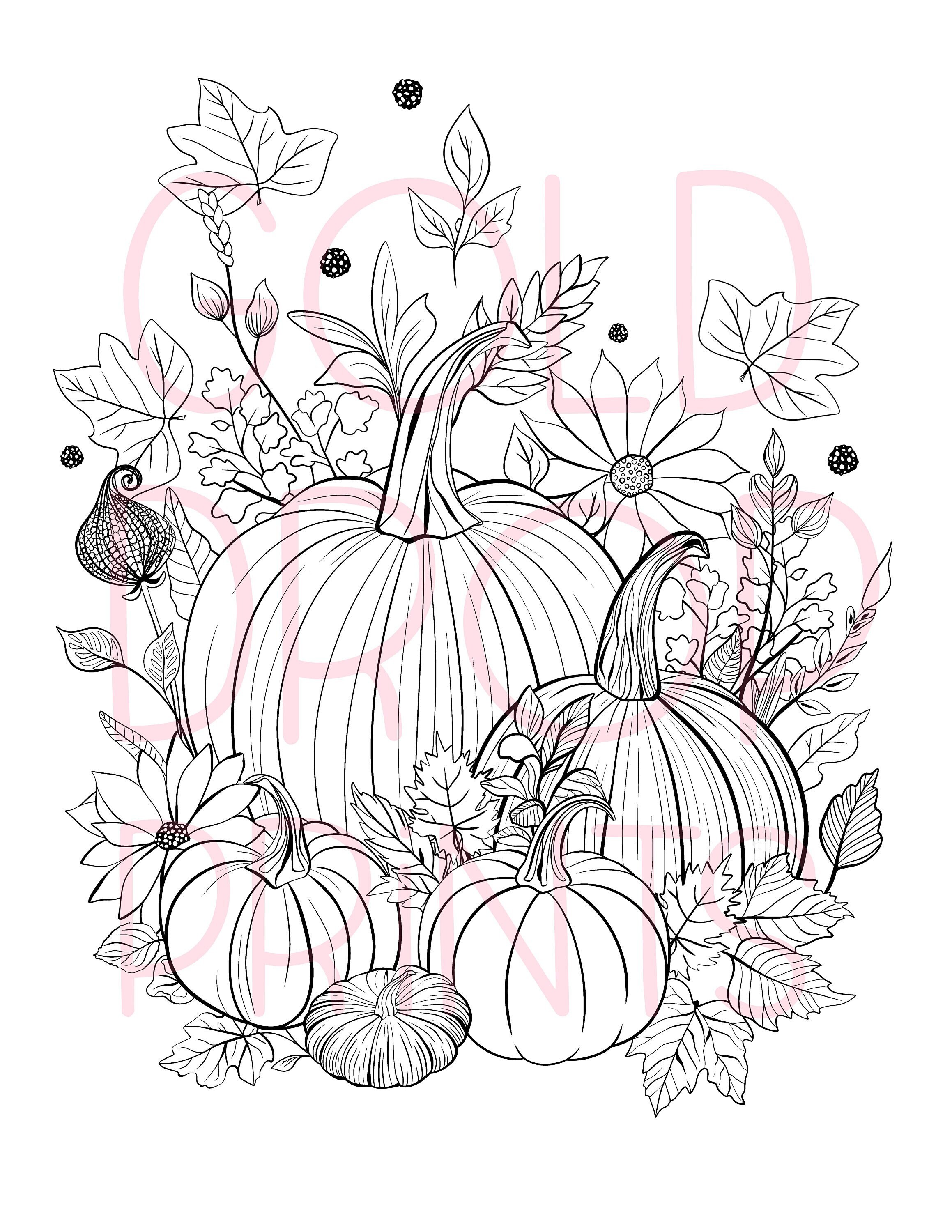 Fall Pumpkins Coloring Page / PNG / Printable / Fall PNG / Pumpkins ...