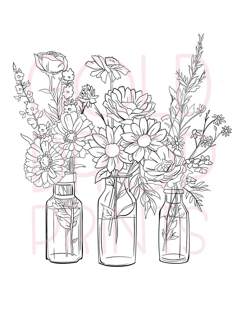 Flowers in Bottles Coloring Page, Hand-drawn Floral PNG (digital ...