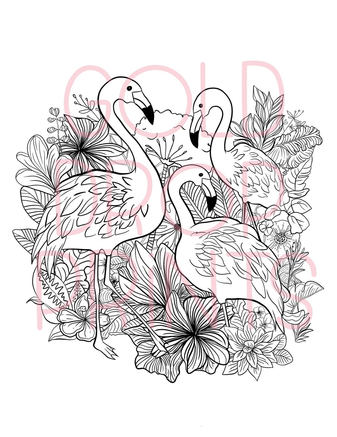Summer Flamingos Coloring Page / Flamingo Coloring Sheet / Printable ...
