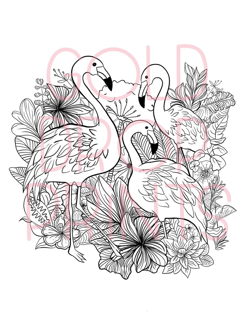 Summer Flamingos Coloring Page / Flamingo Coloring Sheet / Printable ...