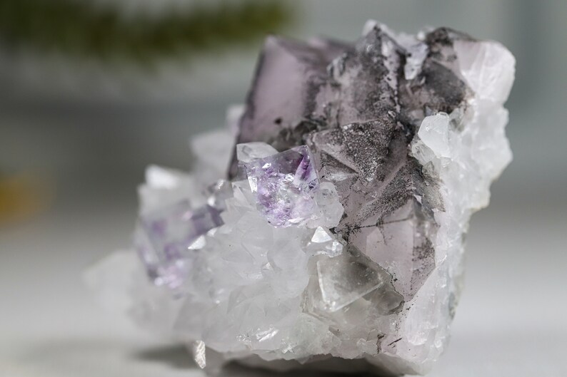 Purple Cubic and Octahedral Fluorite on a Quartz Matrix - Etsy