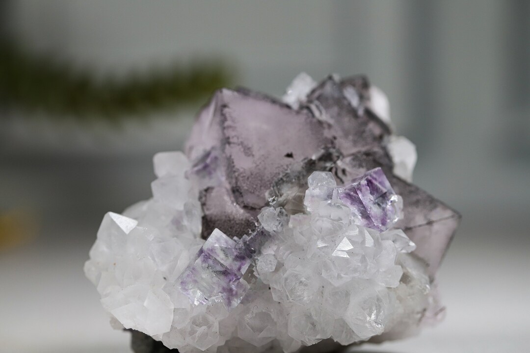 Purple Cubic and Octahedral Fluorite on a Quartz Matrix - Etsy
