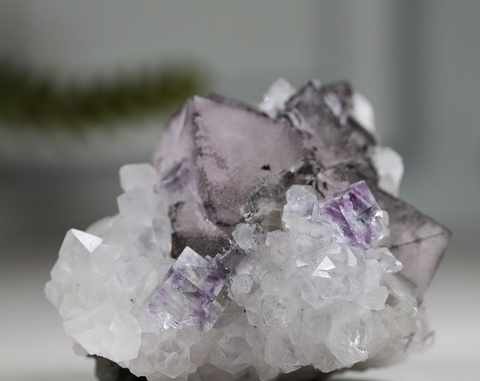 Purple Cubic and Octahedral Fluorite on a Quartz Matrix - Etsy