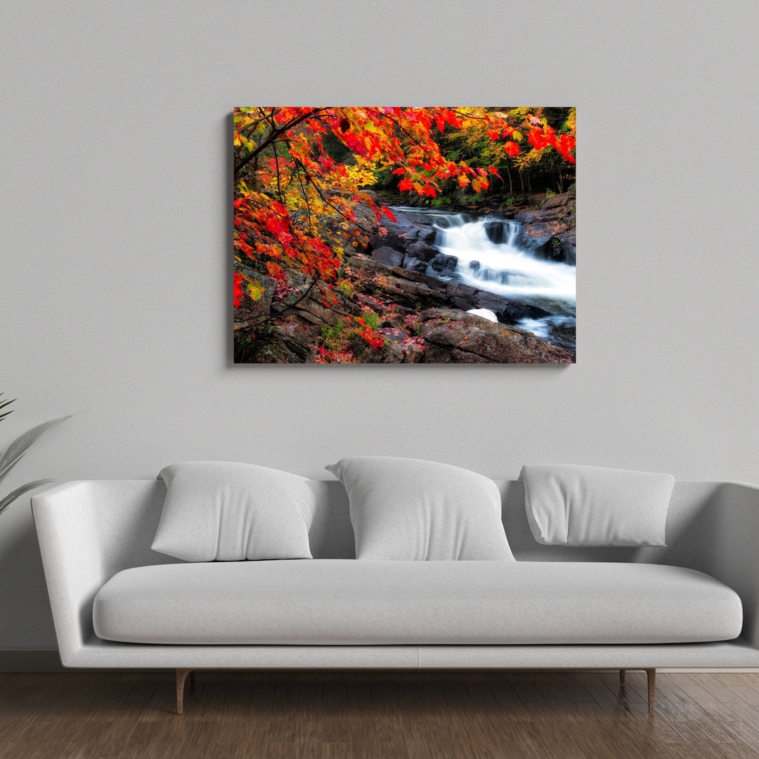 Forest, River, Wilderness, Wet Rocks, Autumn, Red Maple Leaves, Large ...