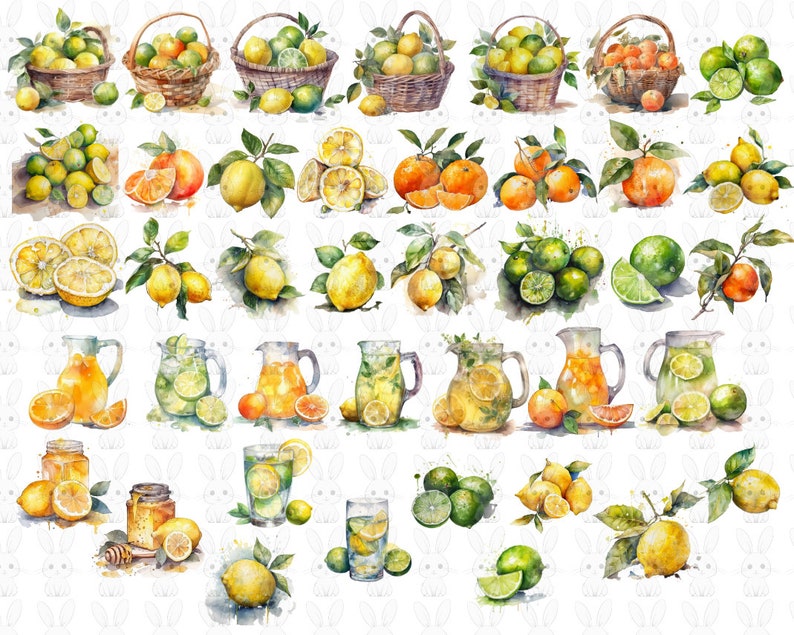 300DPI Watercolor Lemons, Limes & Oranges Citrus Clipart Pack of 50 ...