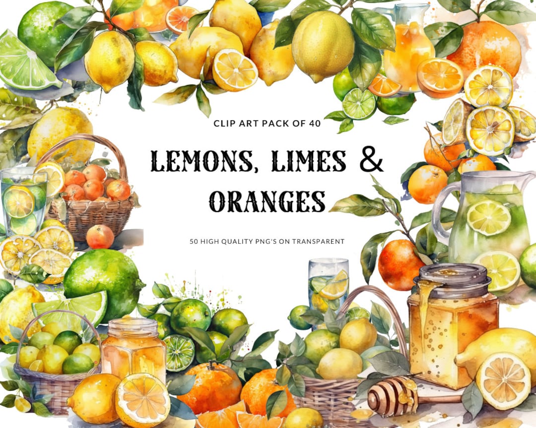 300DPI Watercolor Lemons, Limes & Oranges - Citrus Clipart Pack of 50 ...