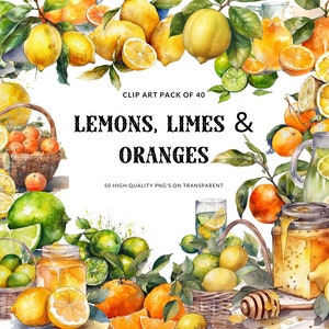 300DPI Watercolor Lemons, Limes & Oranges - Citrus Clipart Pack of 50 ...