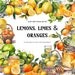 300DPI Watercolor Lemons, Limes & Oranges - Citrus Clipart Pack of 50 ...