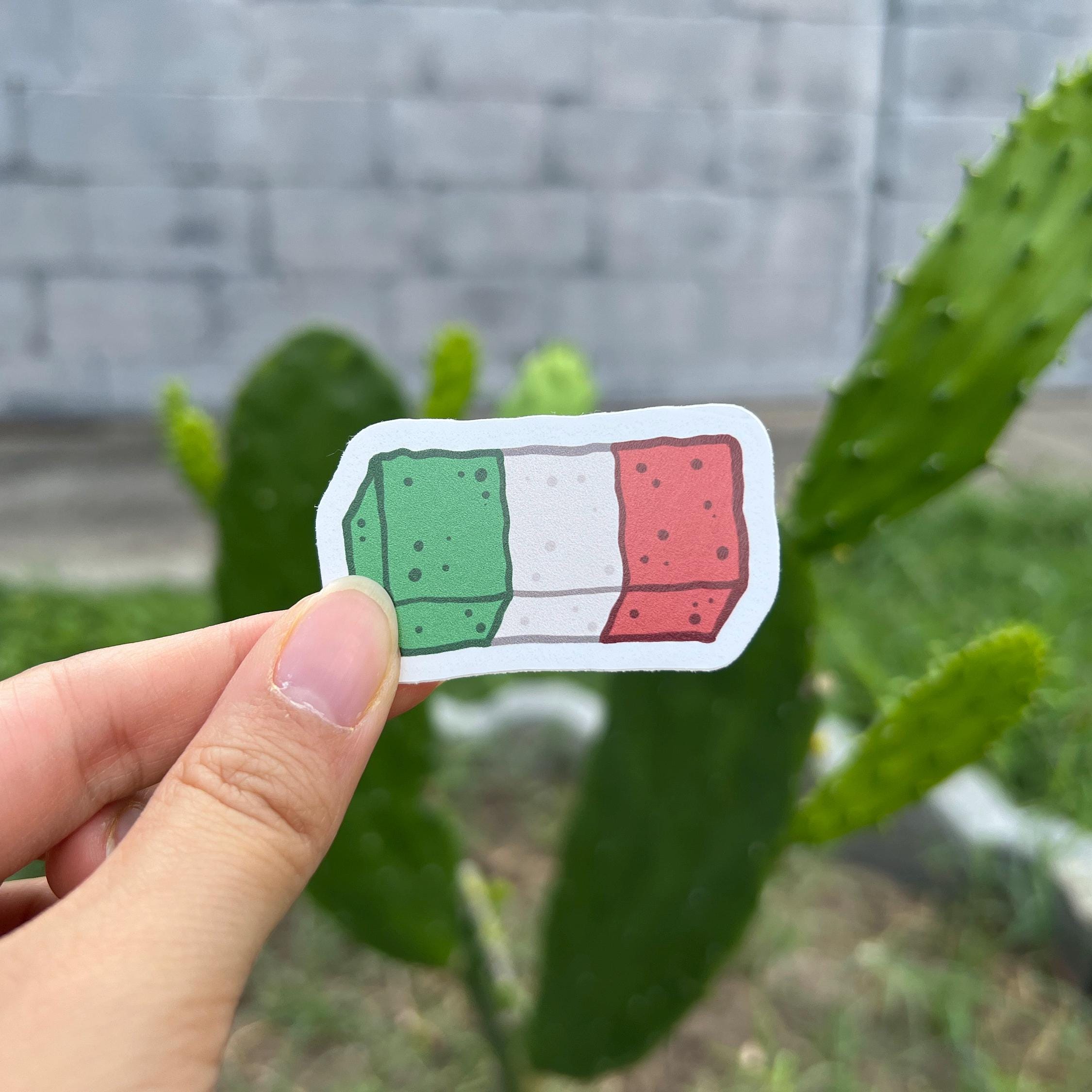 Bandera De Coco Mexican Snack, Food, Dulces, Coconut Flag, Water Bottle ...