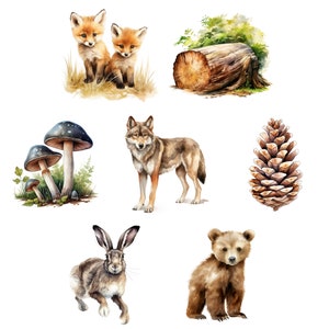 Woodland Animals Clipart Bundle Watercolor Forest Animal Clip Art ...