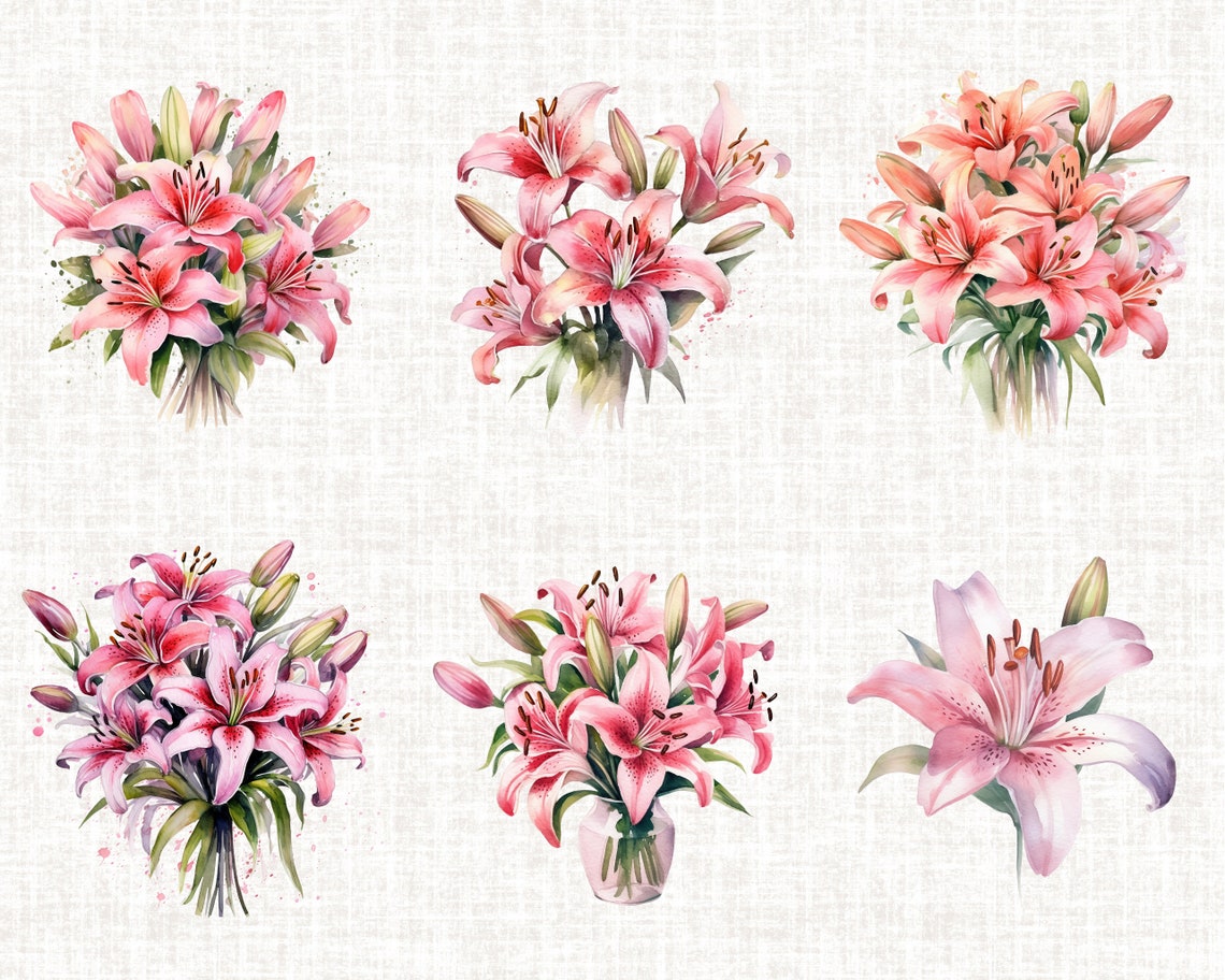 Pink Lily Clipart Watercolor Tiger Lily Clipart Bundle Pink - Etsy