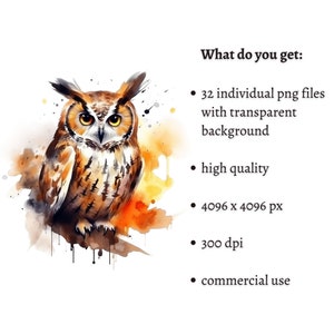 Watercolor Owl Clipart Bundle Woodland Animals Graphics Forest Animal ...