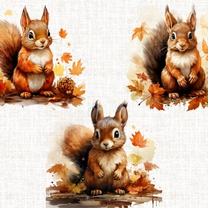 Autumn Squirrel Clipart, Cute Squirrel Images, Watercolor Squirrel PNG ...